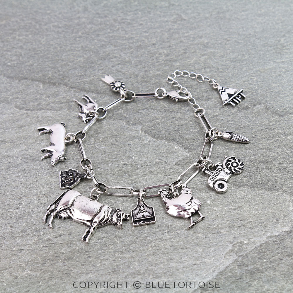 Western Farm Theme Charm Link Bracelet – Bluetortoisewholesale
